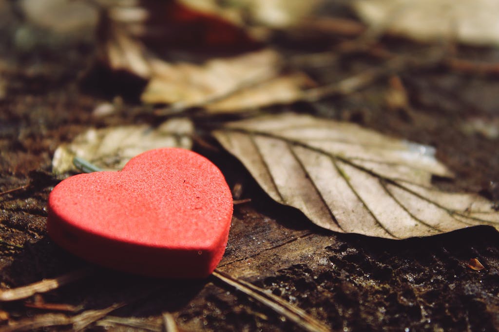 Love Yourself: 3 Practices for Boosting Self-Love Insight Psychics